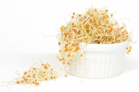 Mein Life Coaching Blog - Monika Gungl